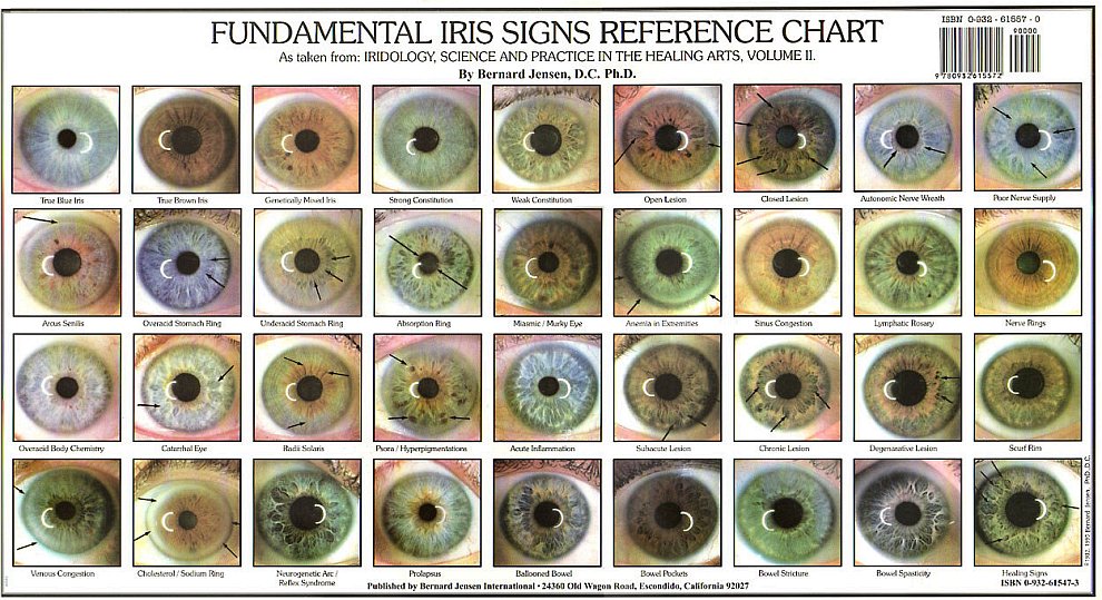 NIRVANA CONSCIÊNCIA HOLÍSTICA: CURSO DE IRIDOLOGIA COMPORTAMENTAL E ...