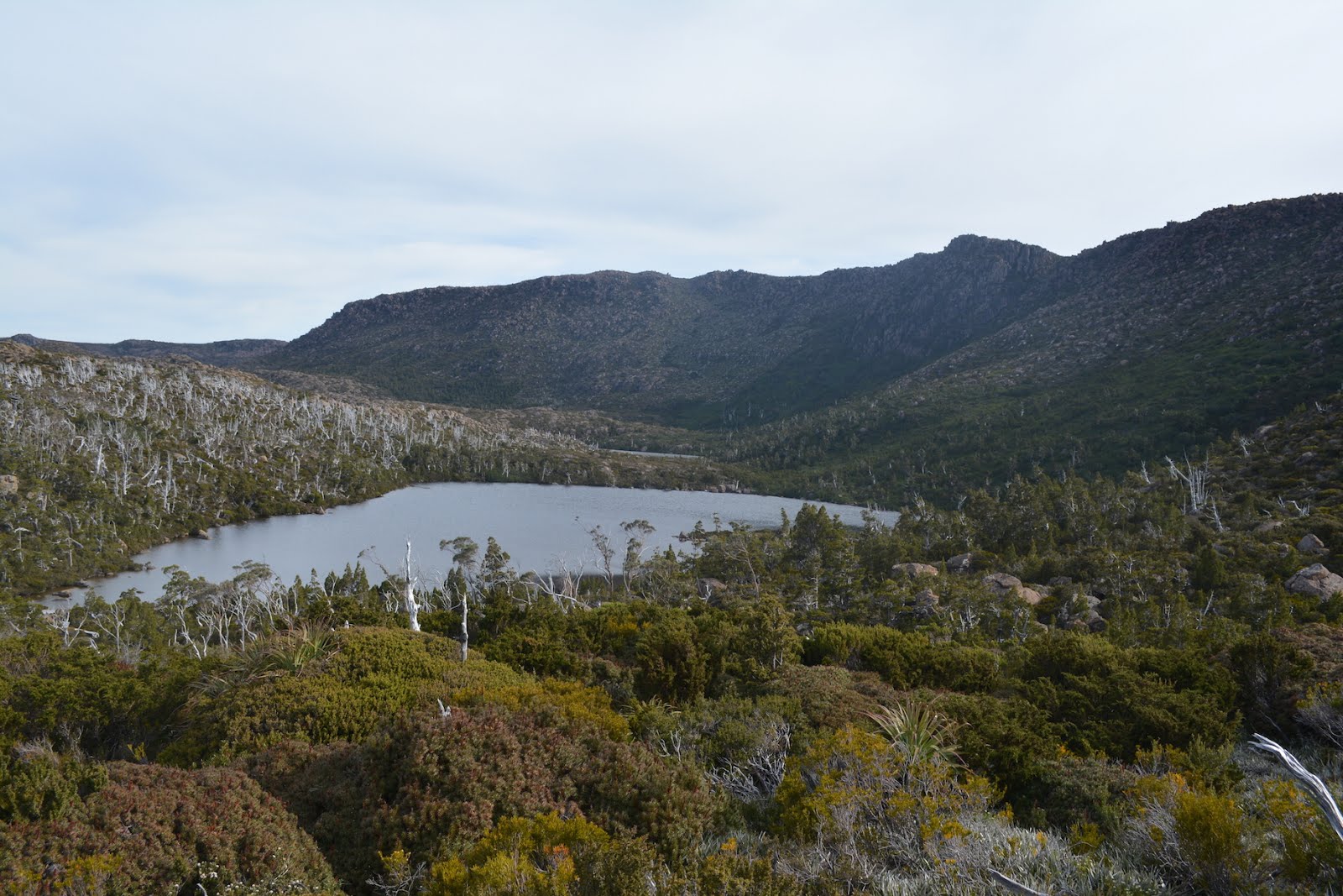 Tasmanian Wilderness: Rodway Range & Tarn Shelf