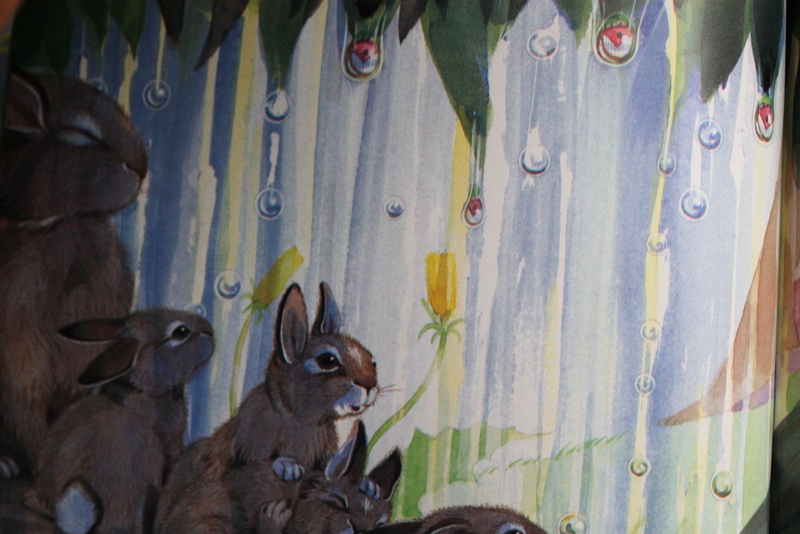Books and Umbrellas: Rabbits & Raindrops by Jim Arnosky