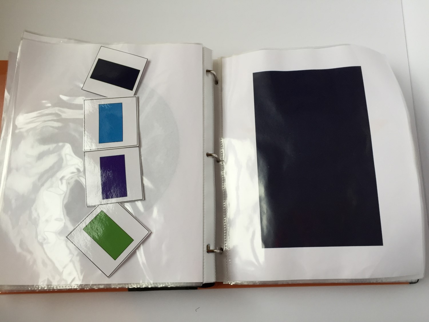 Miss Martel's Special Class: Adaptive Work Binder