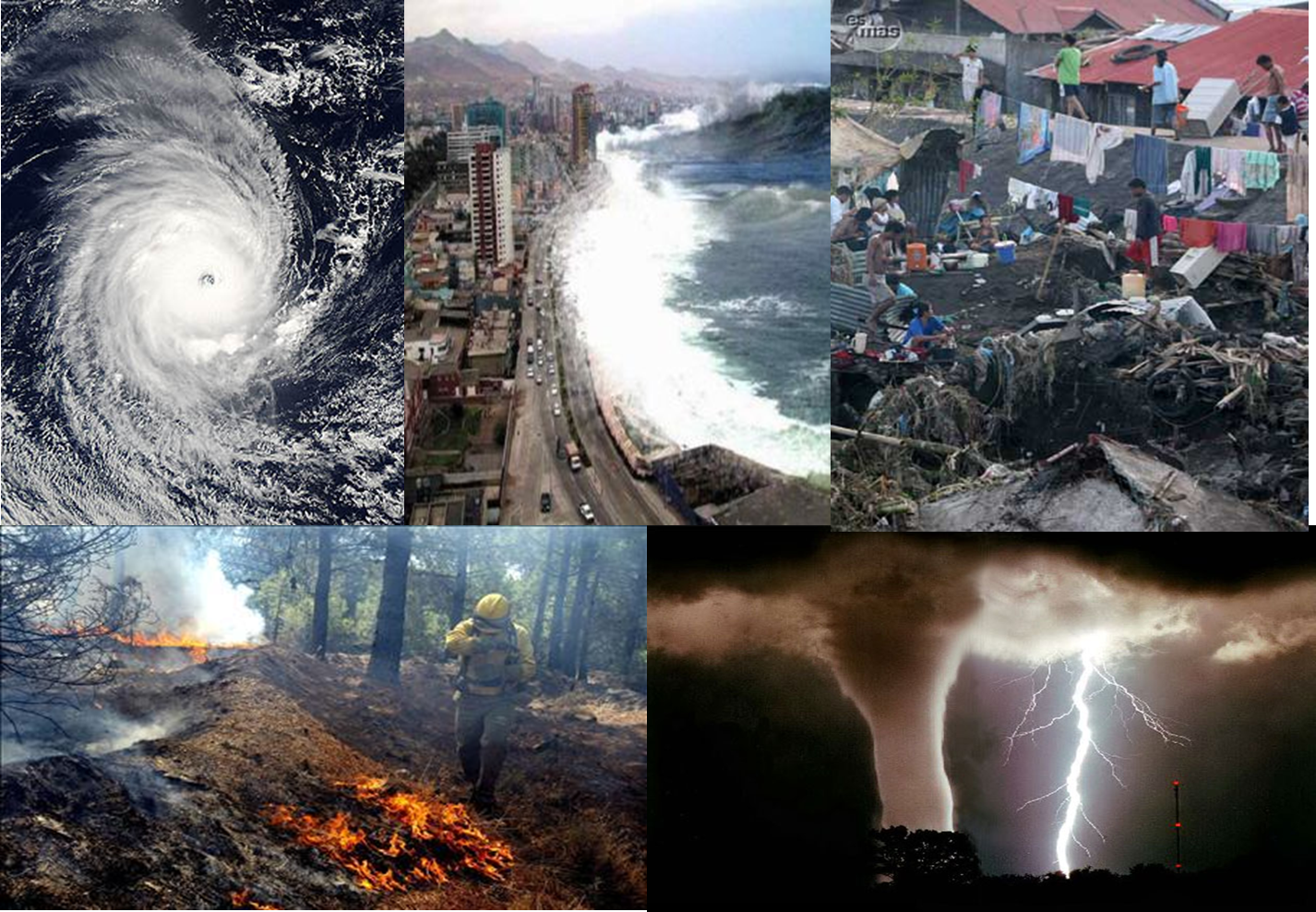 Delfinoterapia: DESASTRES NATURALES