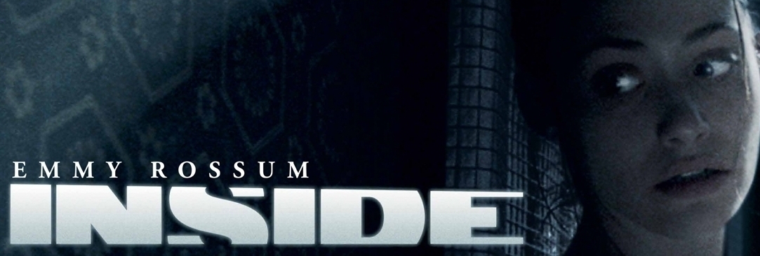 Meditations in an Emergency: 2011