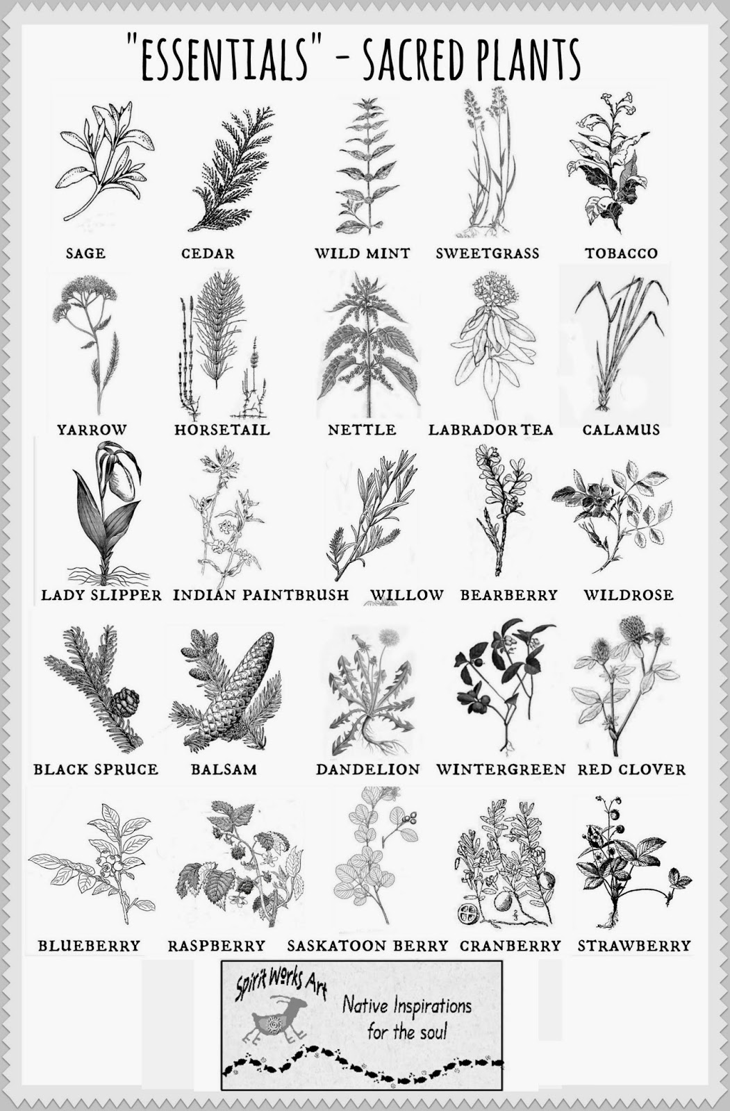Artistic Environments: Spirit Works ARt **Traditional Plants Poster ...