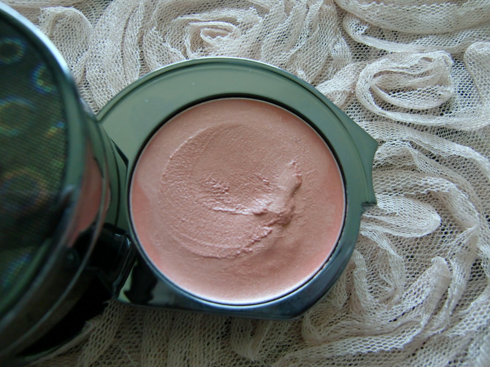 Chihuahua Beauty: Vidi Vici Makeup Styler Review and Swatches