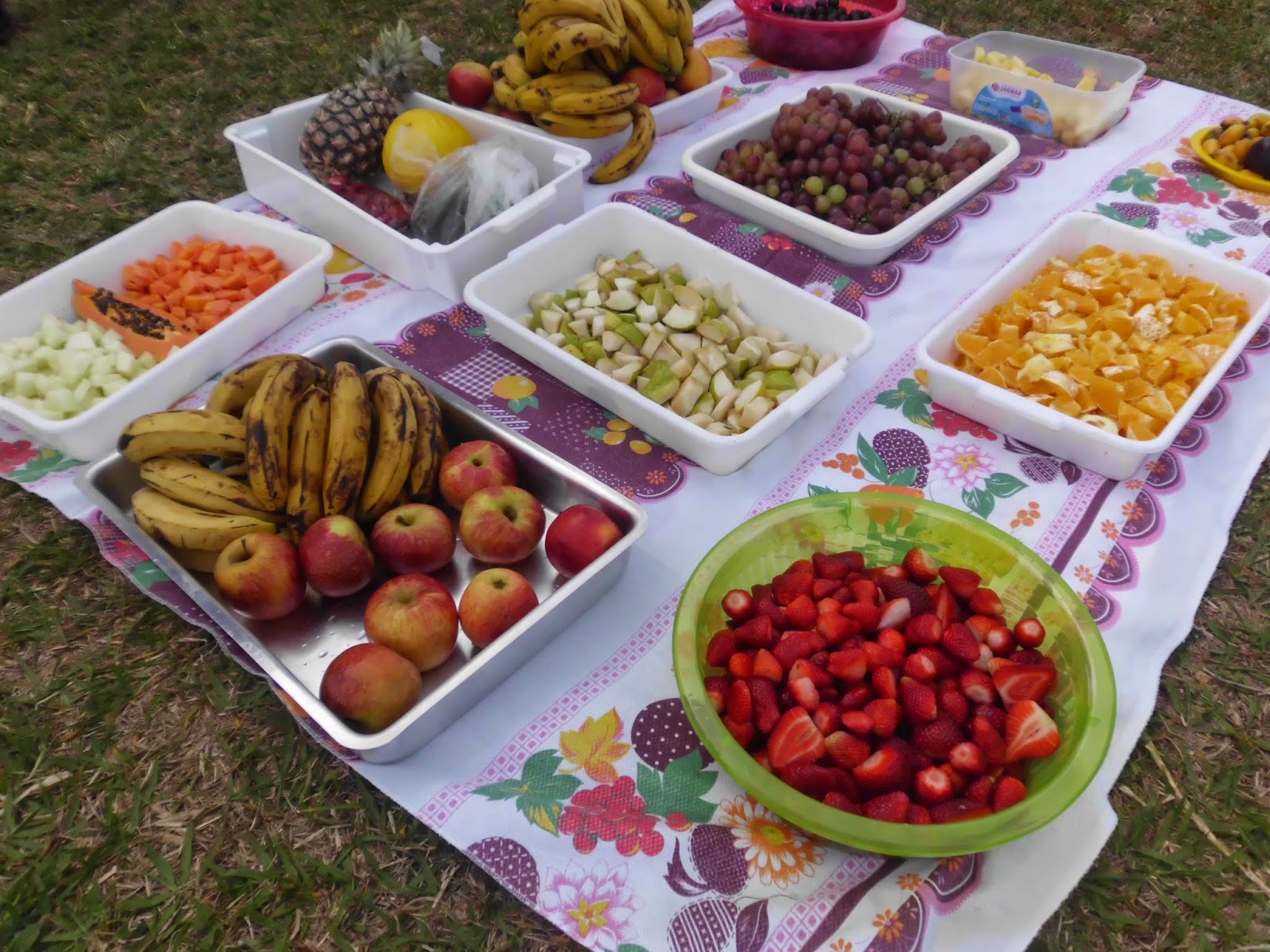 CEMEI MENINO JESUS: Piquenique de Frutas