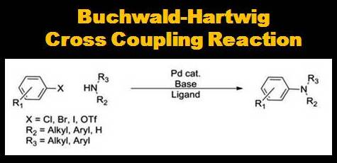 Buchwald-Hartwig Cross Coupling Reaction