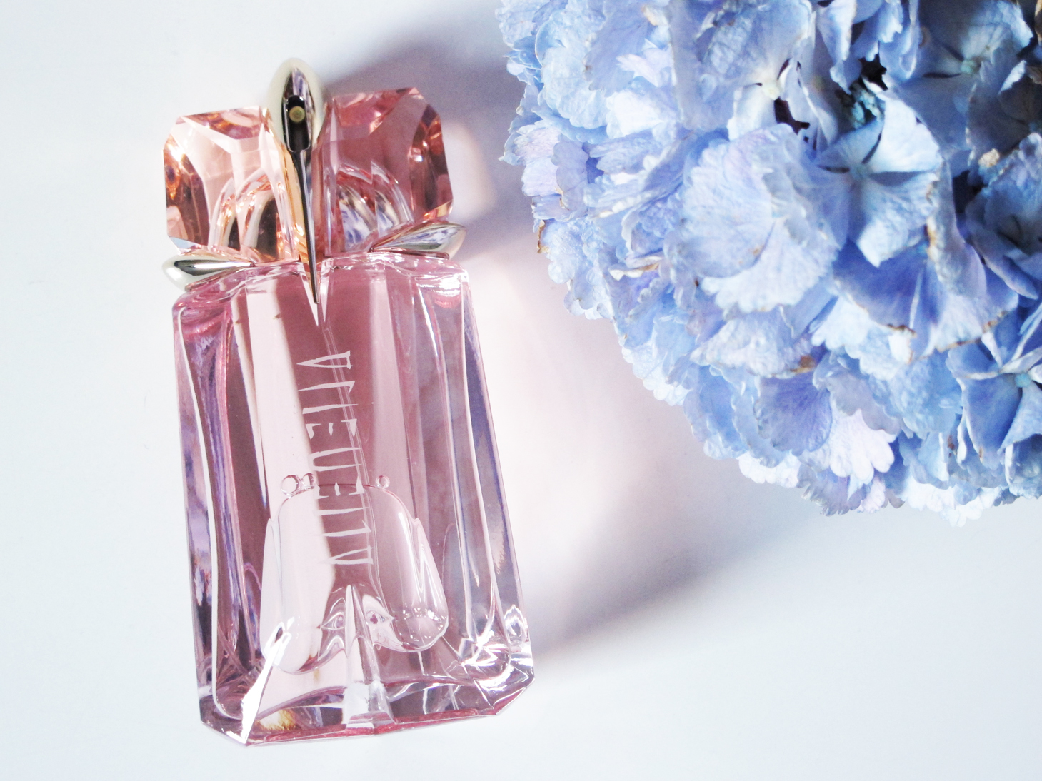 Fashion & Beauty Now: Tres novedades olfativas perfectas para esta ...