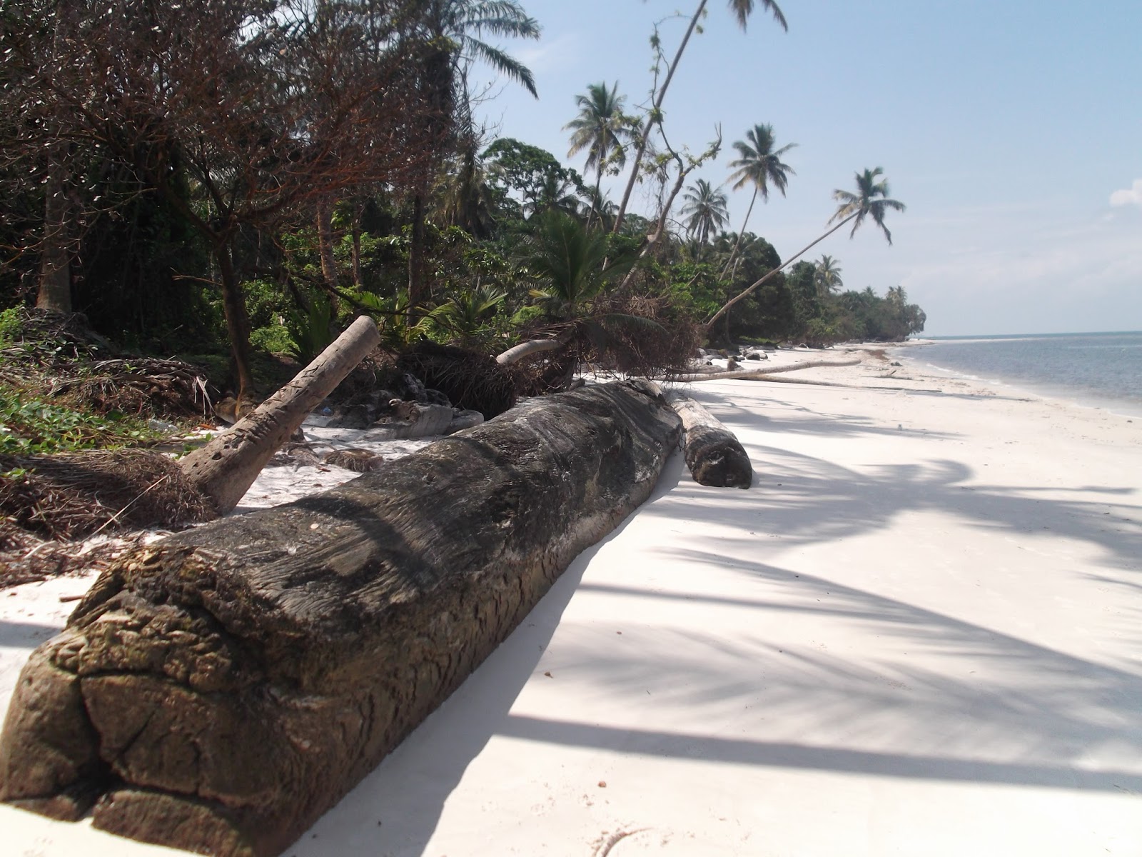 Blog del periodista Luis Negro Marco: Guinea Ecuatorial: A la cabeza de ...