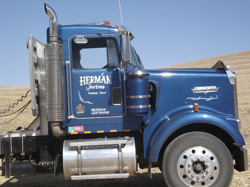 Swheat Farm Life: Garbanzo Beans from our Local Farms to Your Table