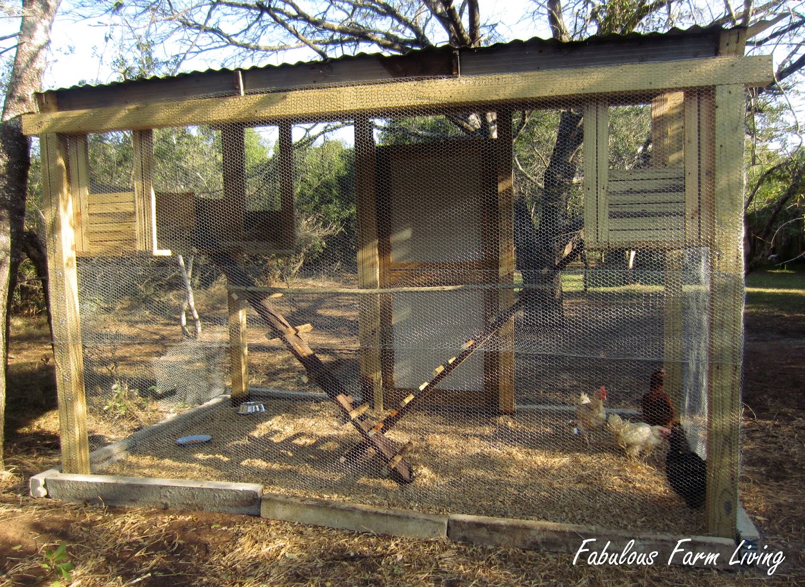 Fabulous Farm Living: Chickens for fresh eggs