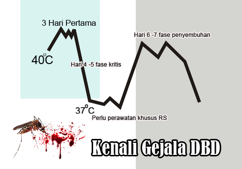 Demam Berdarah - Kenali Gejala DBD Anak Dan Dewasa | Tanda Dan Ciri ...