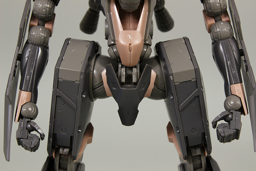 [ Review ] - Frame Arms 1/100 - Shadow Tiger