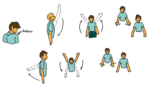 Estructuras Anatómicas u Órganos del Cuerpo Humano: Movimientos Articulares