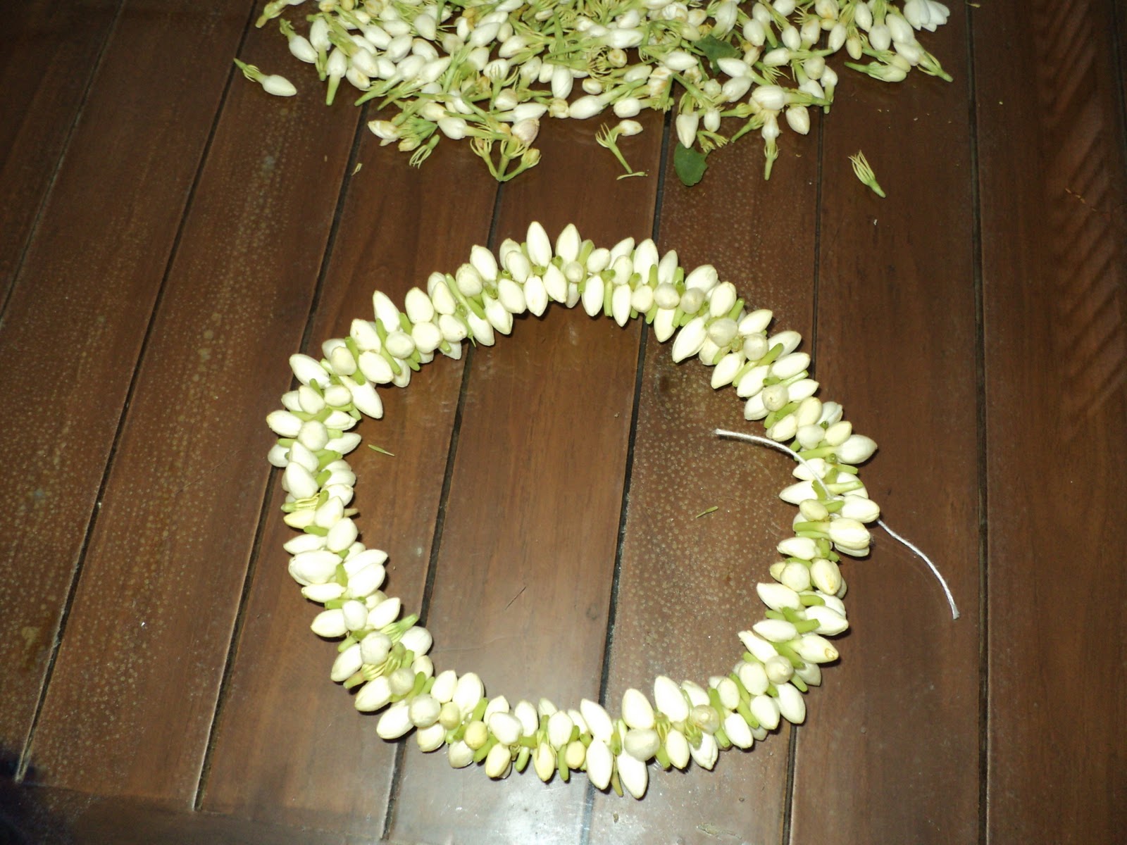 Eka Silvi S: MERONCE