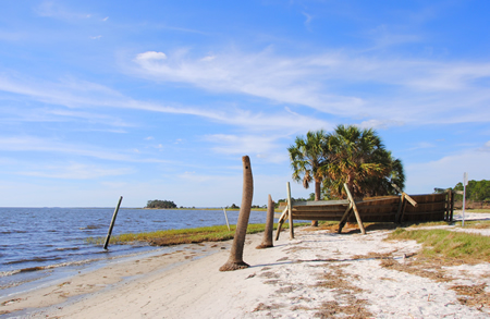Desolation Florida: The Dixie Mainline and Shired Island