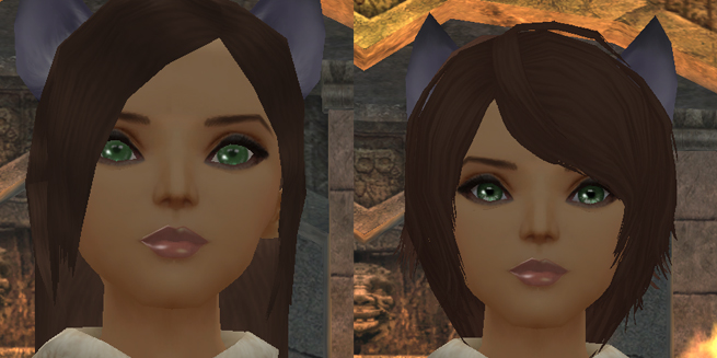 Perfect World ini Files & Presets: How to ini edit?