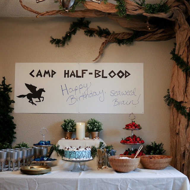 Book-Based Percy Jackson Birthday Party | Collecting the Moments