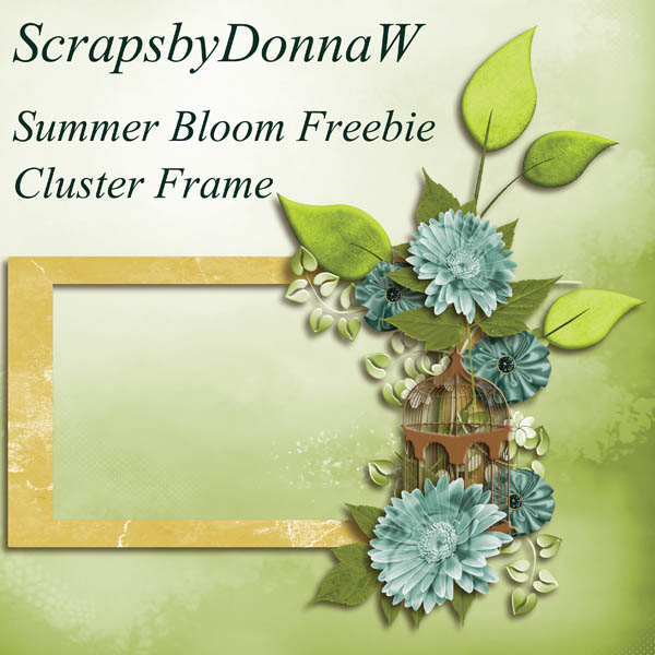 Scraps by Donna W: DIGI SCRAP FREEBIE: Cluster Frame
