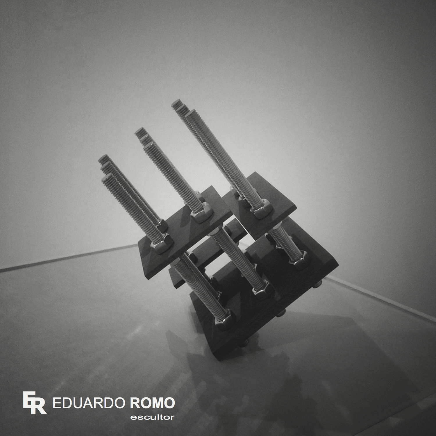 eduardo romo - artista visual: Proyectos