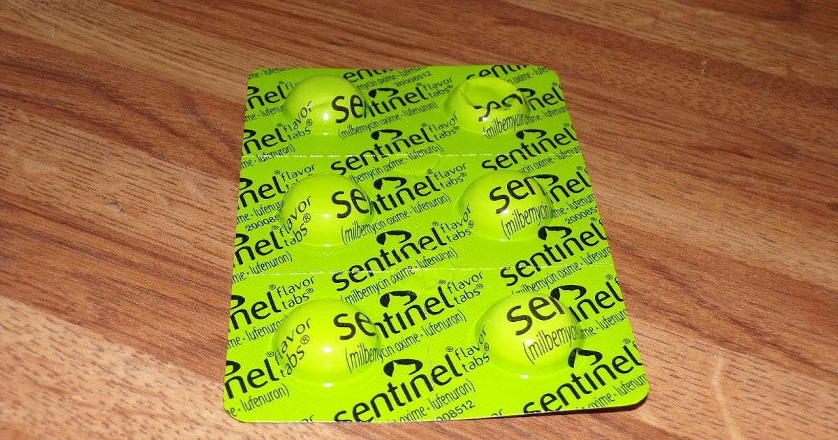 Life with Lucy & Poppy: Heartworm Preventative Review: Sentinel VS ...