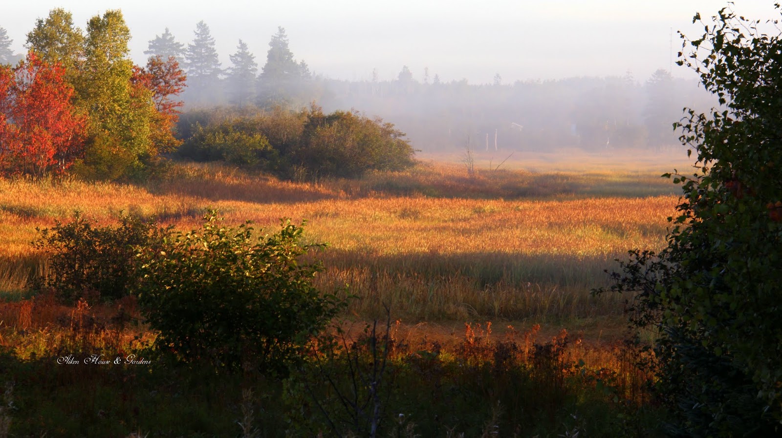 Aiken House & Gardens: An Island Autumn