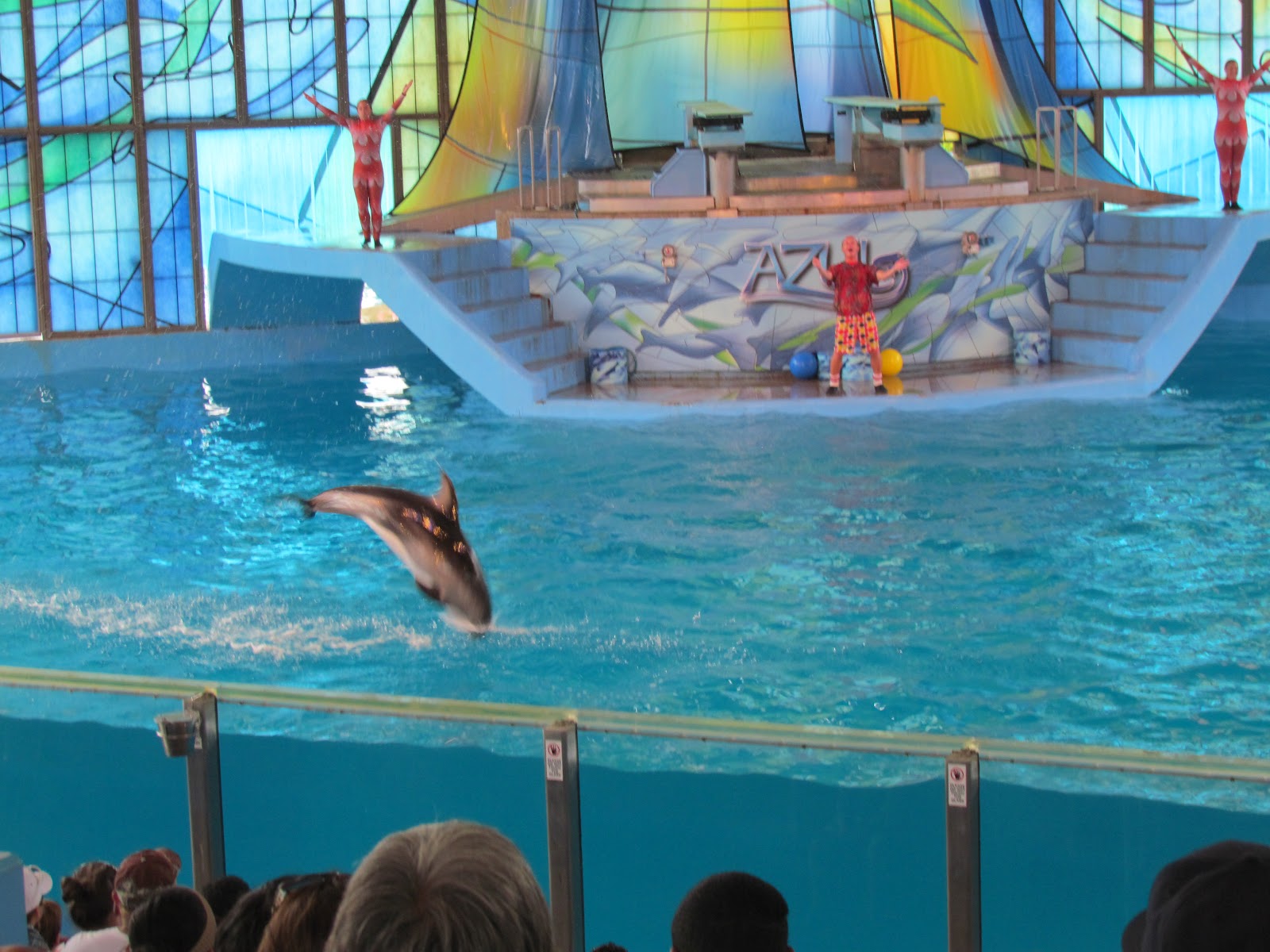 The Nelsons: Sea World - Azul