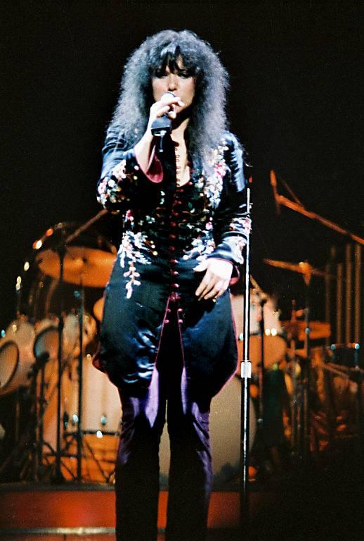 ~MUSIC IS WHAT FEELINGS SOUND LIKE~: Ann Wilson...