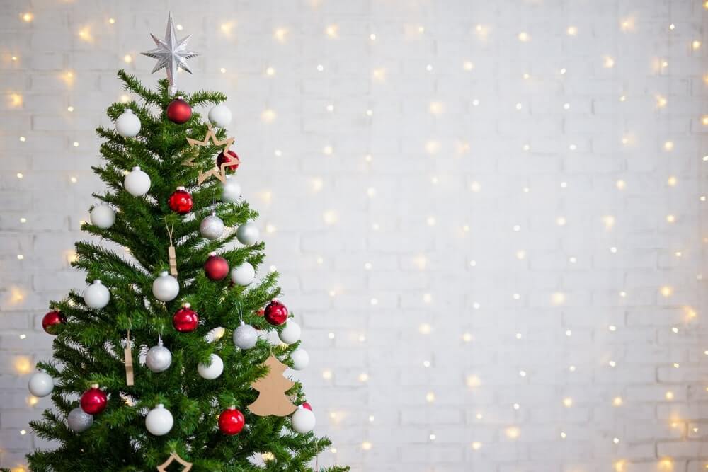 Christmas Trees Images Free Download