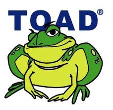 Playar Tecnología: Cambiar el tamaño de la fuente en el editor de Toad