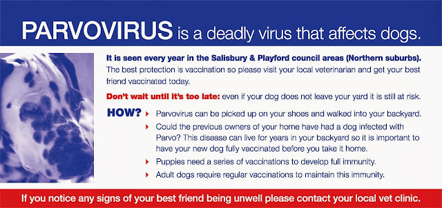 FREE LEARNING CLASSES & TUTORIAL: PARVO VIRUS - DOG INFECTION
