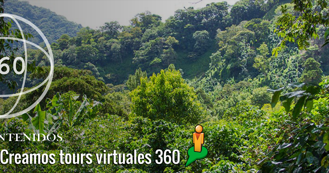 Los Tour virtuales 360 (realistas)