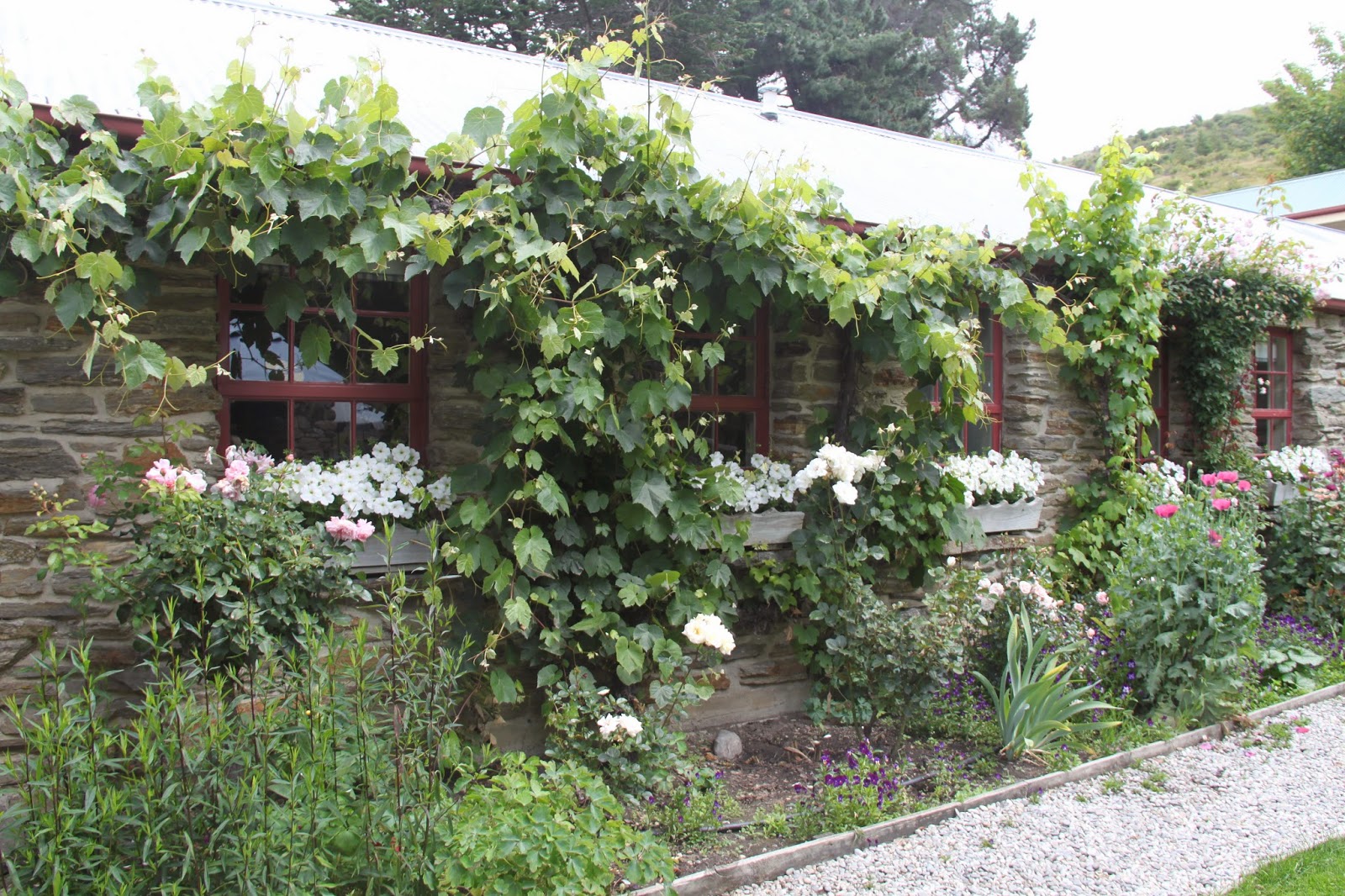 1000 Amazing Places: #696 Cardrona (Pub), New Zealand