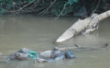 OVER 40 DEAD BODIES FOUND IN ANAMBRA/ENUGU RIVER ~ GET 360