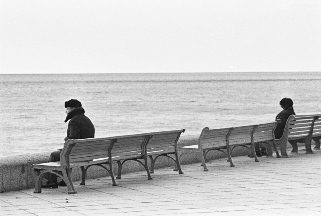 fotograficas oleograficas: Solo tienes la fiel memoria y los desiertos días