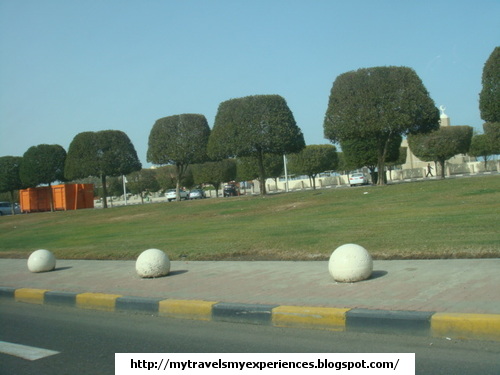 My Travels,My Experiences: How Green is Kuwait?