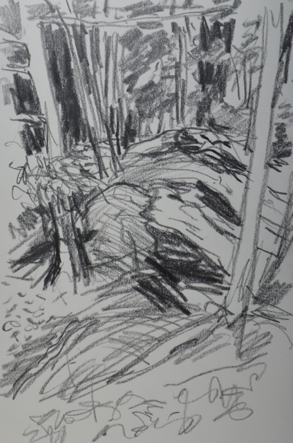 Mark and Remark: Look, See and Draw