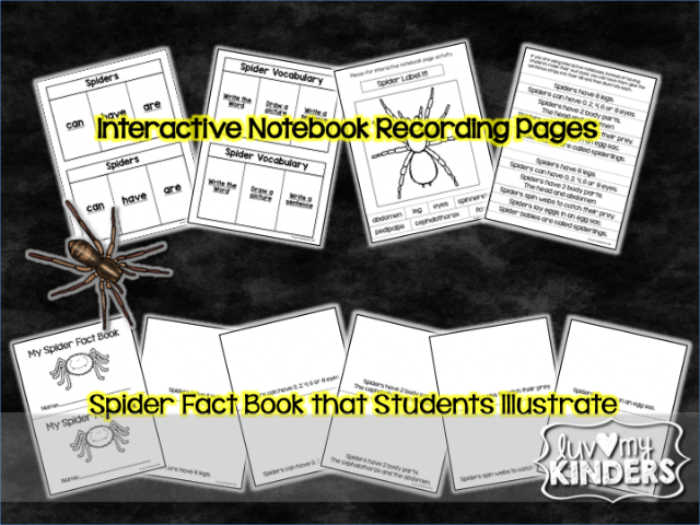 Luv My Kinders: Creepy, Crawly, Spiders!