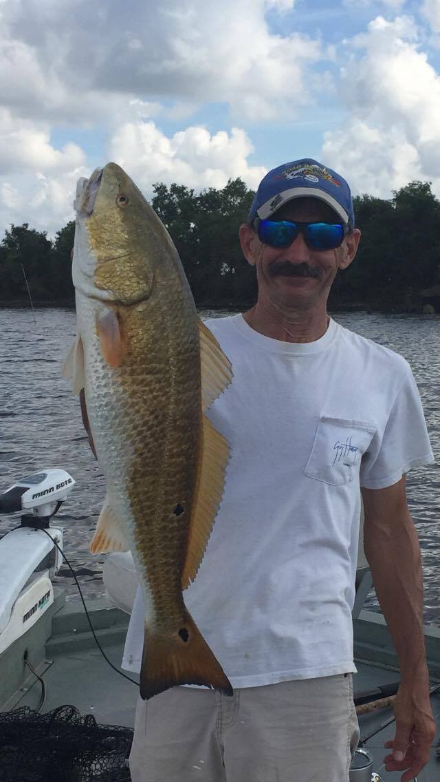 The Great Redfish Migration