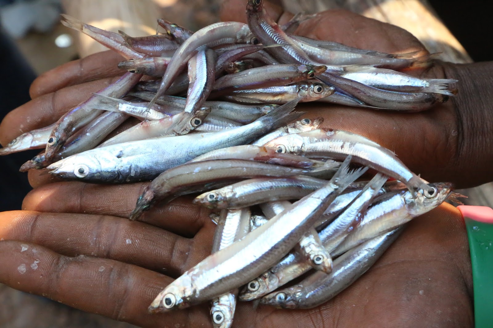 KAPIPI Jhabari.COM: AINA TANO ZA DAGAA WA KIGOMA!!!