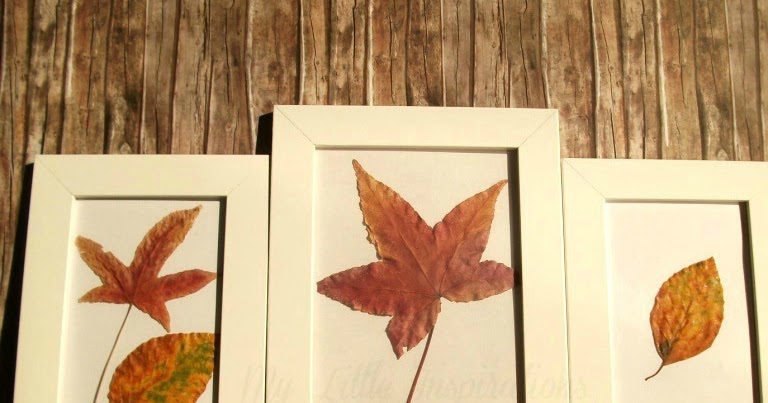 My Little Inspirations: DIY Framed Fall Leaves