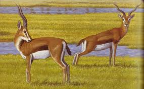 Escenarios prehistóricos: 12/23/11