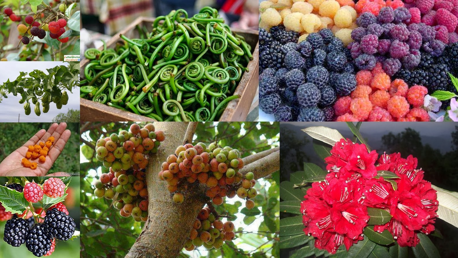 365 days around India!!