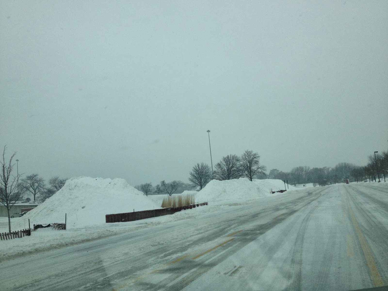 Suburban Chicagoland: "SnowNado": One tough winter with Snow Dec 2013 ...