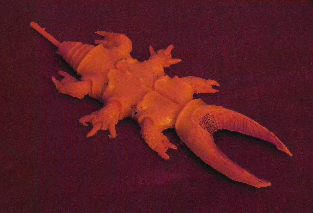 Star Trek Prop, Costume & Auction Authority: Star Trek: TNG "Conspiracy ...