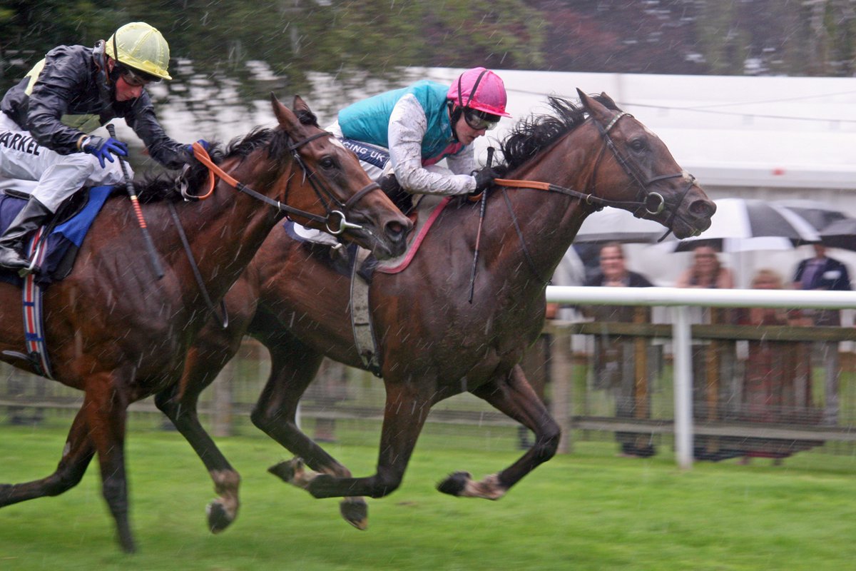 Racing Calendar: Frankel