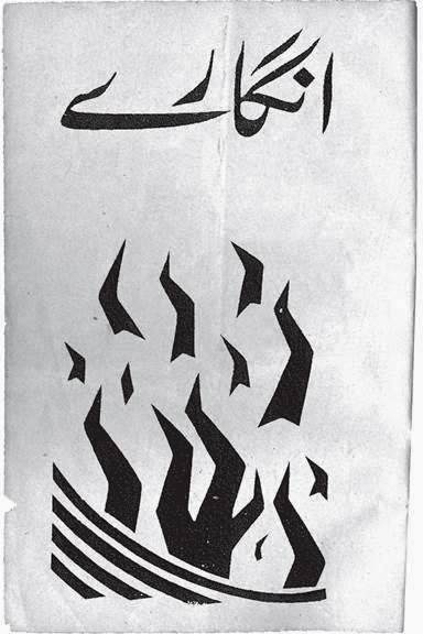 Kim & Brajesh's Bookshelf: Kim's Review : Angaaray