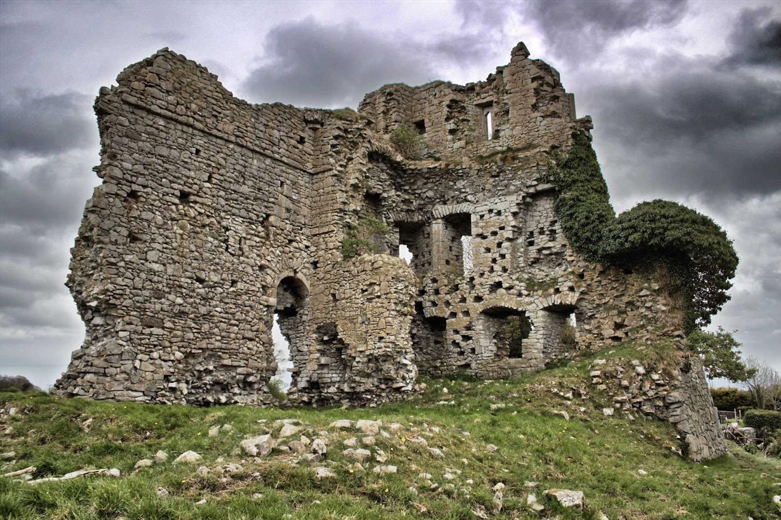 Historic Sites of Ireland: Carrick Castle