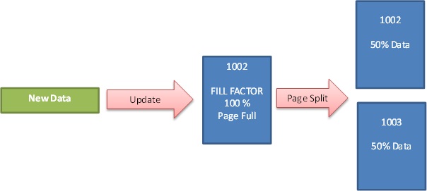 Microsoft SQL Server Knowledge Bank: Fill Factor