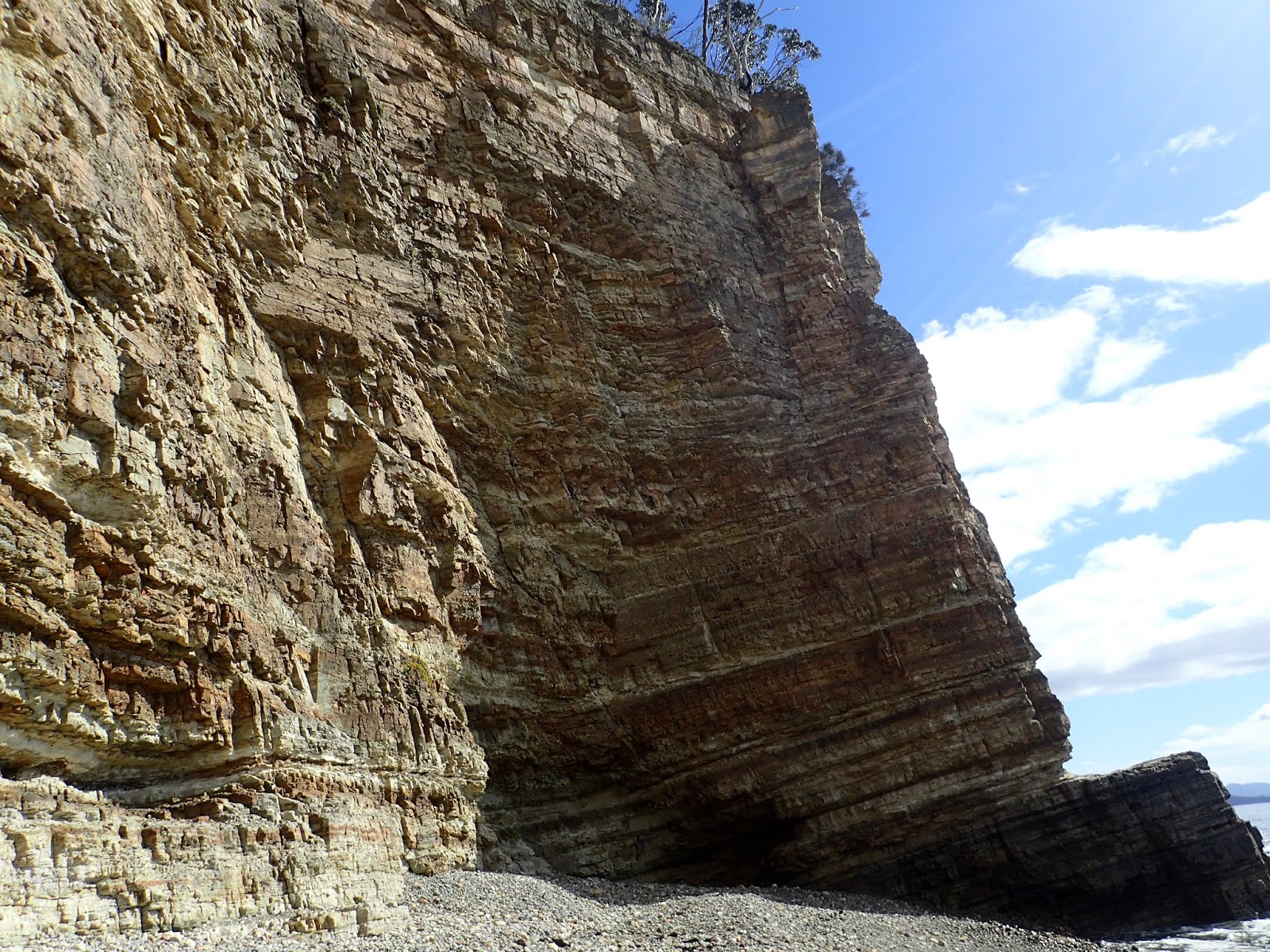 Fossil Cove | Hiking South East Tasmania