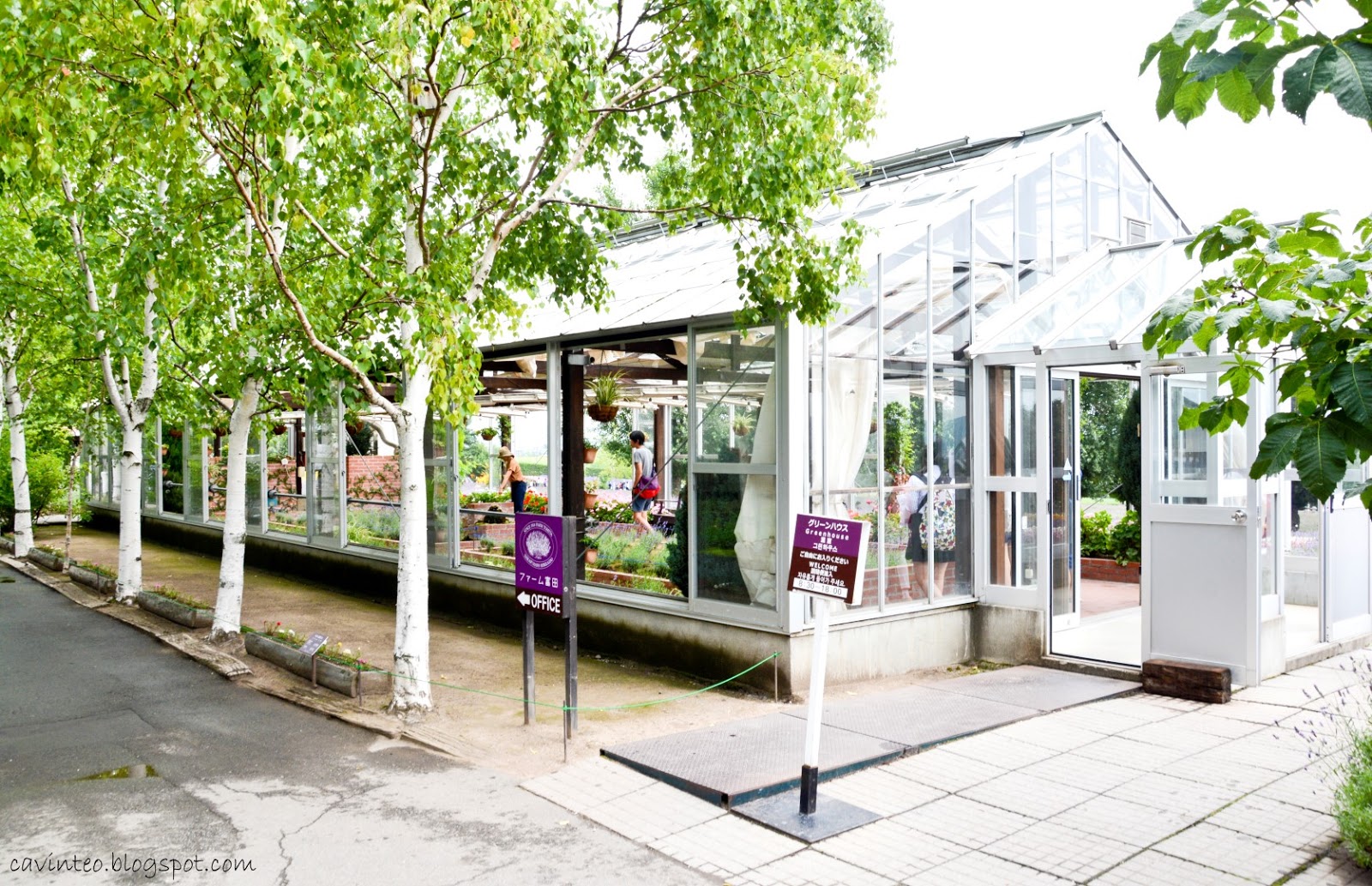 Entree Kibbles: The Greenhouse beside Hanabito Field @ Furano Farm ...